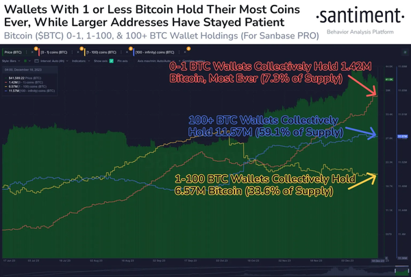 Bitcoin small wallets set new records