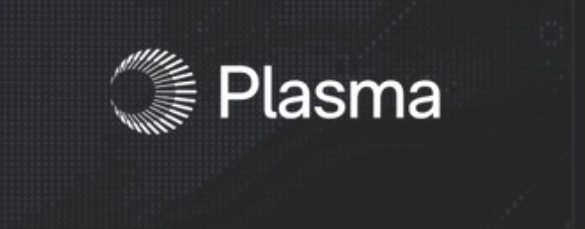 XPL Token Plunges 50%... Plasma Denies Team and Investor Sell-Off