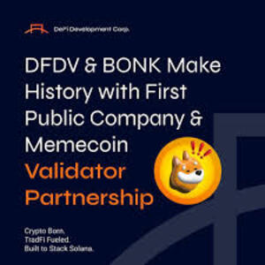 DeFi Development Announces Partnership with Solana(SOL) Meme Coin Bonk(BONK) Validators