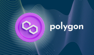 Polygon Co-Founder Sandeep Nailwal Appointed as Foundation's First CEO ...